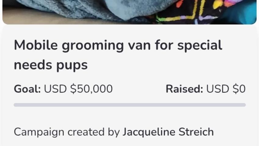 Mobile grooming van for special needs pups!!! - a Personal Causes ...